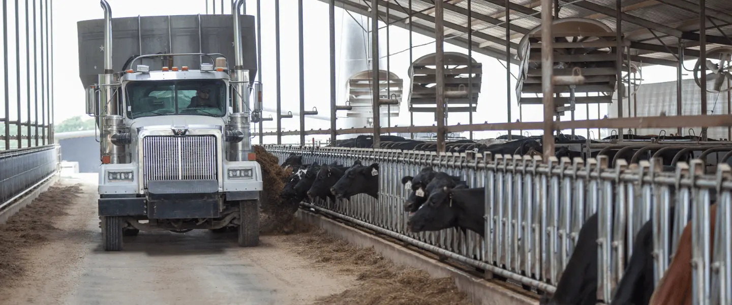 Your Dairy Checkoff | Strengthening Dairy's Role In Sustainable Systems