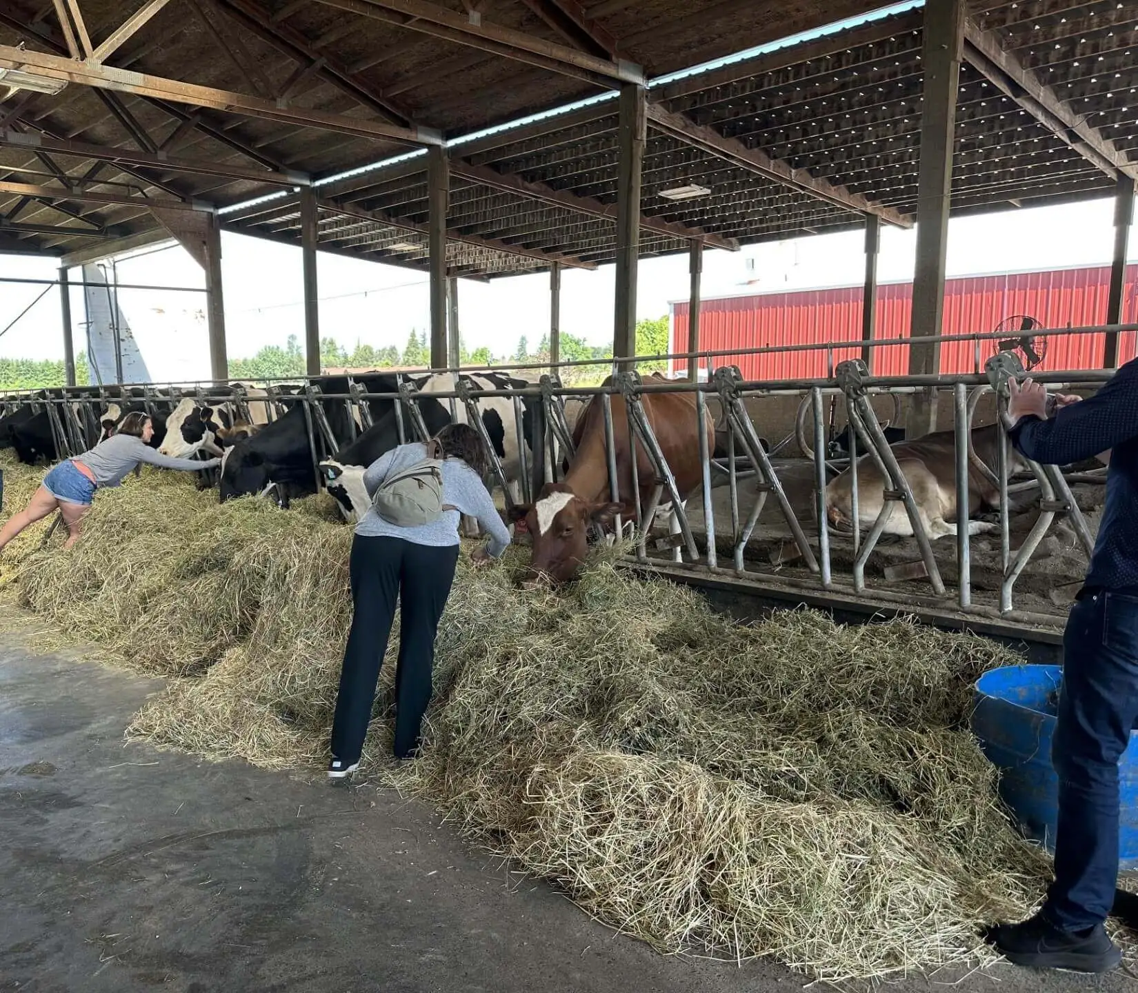 Your Dairy Checkoff | Local Checkoffs in Action