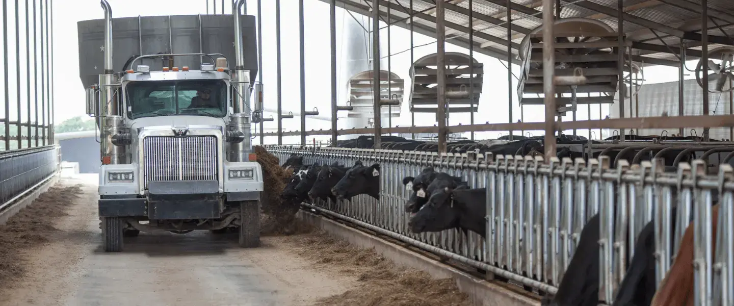 Your Dairy Checkoff | Strengthening Dairy's Role In Sustainable Systems