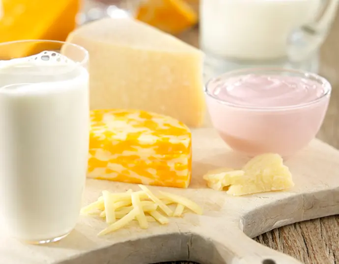 Your Dairy Checkoff | Programs